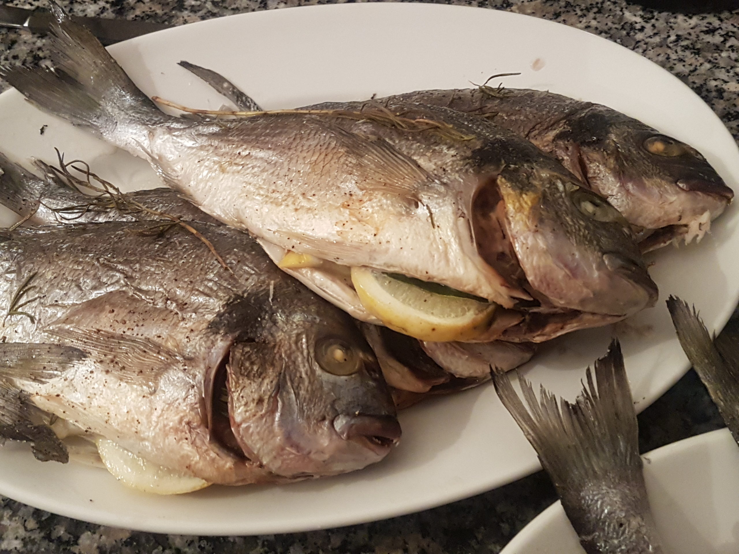 Fisch - das bessere Fleisch? - Mein Konsumkompass von Katarina Schickling